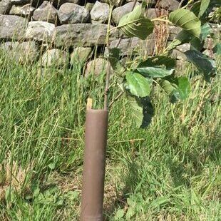 Standard Voleguard | Buy Online – Alba Trees